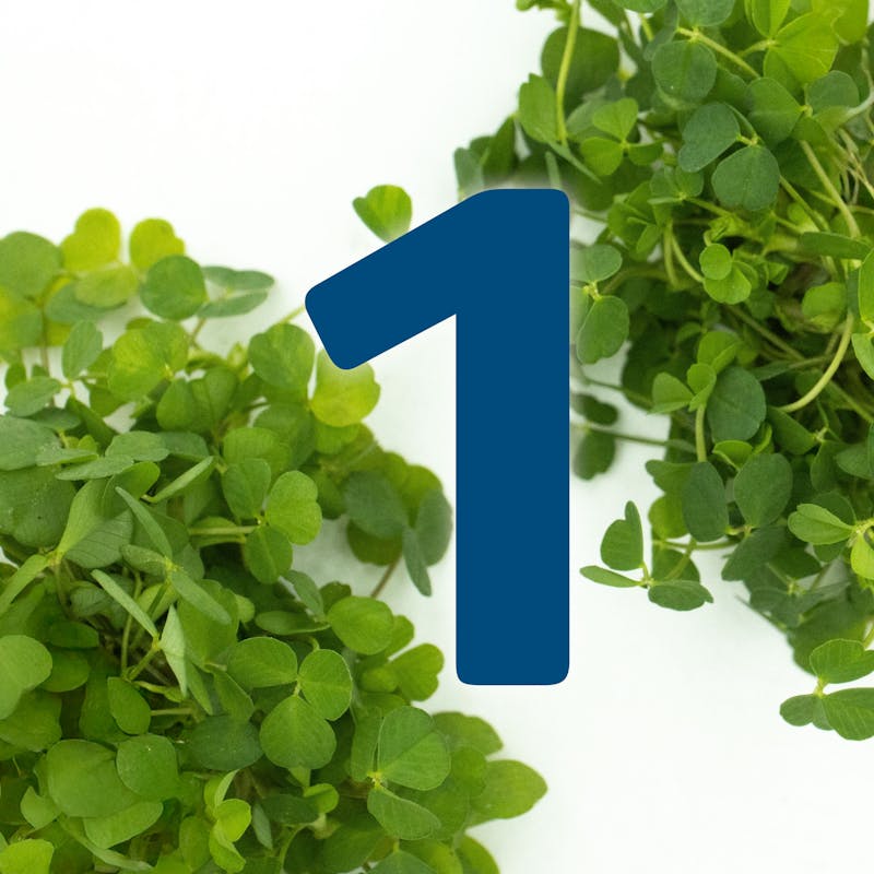 St. Patrick's Day Countdown: Ireland and Potatoes