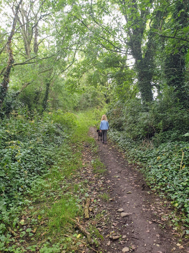 Spooky Irish Ghost stories: The Púca