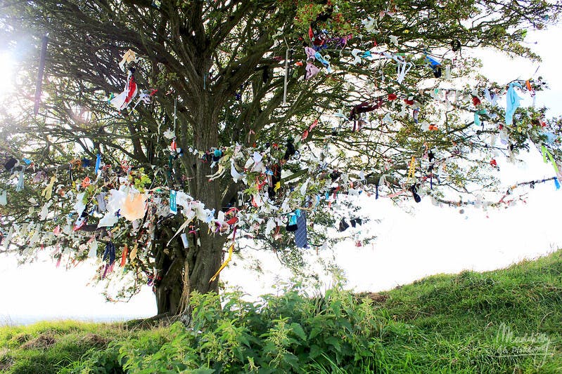 Irish fairies: Ireland's living folklore