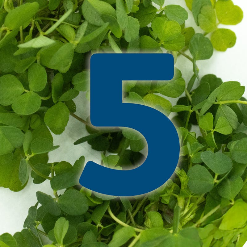 St. Patrick's Day Countdown: Potato Crepes and Asparagus