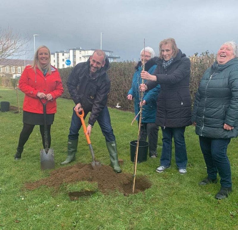 Planting Trees in Ireland
