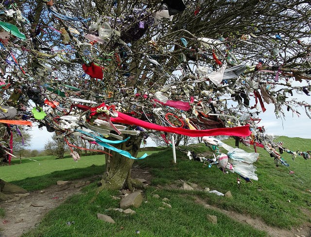 Twelve Days of Irish Words and Phrases: The Irish for Christmas Tree