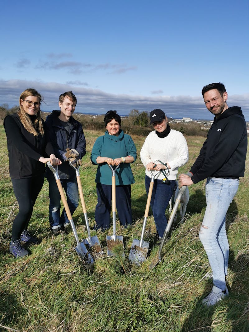Tree Planting in 2023: A Virtual Road trip around Ireland