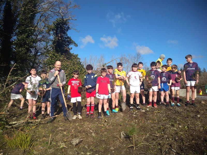 Planting Trees around Ireland