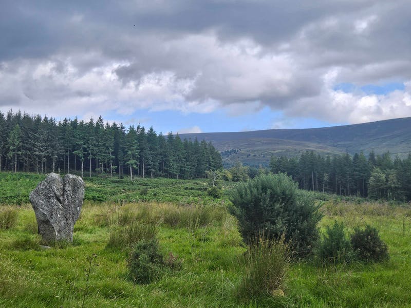 An Ogham stone IRL (in real life): Our adventure in the wilds of…