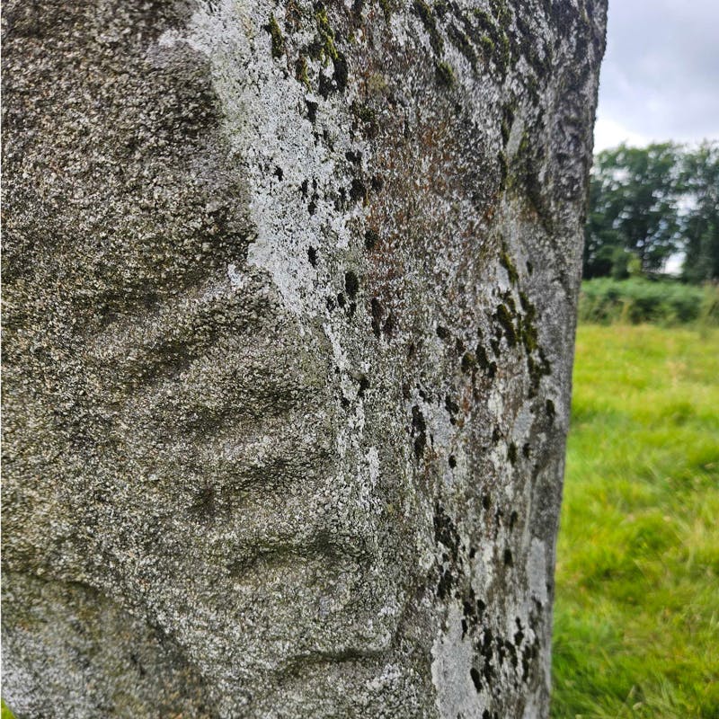 An Ogham stone IRL (in real life): Our adventure in the wilds of…