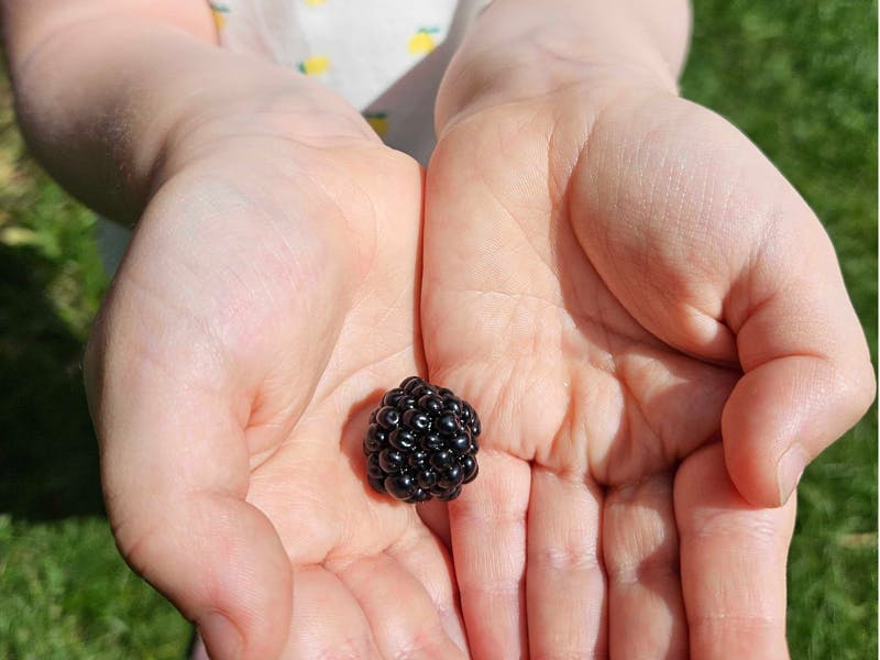 An Ogham stone IRL (in real life): Our adventure in the wilds of…