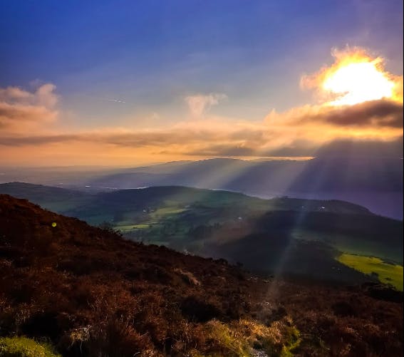 Planting Trees in Ireland
